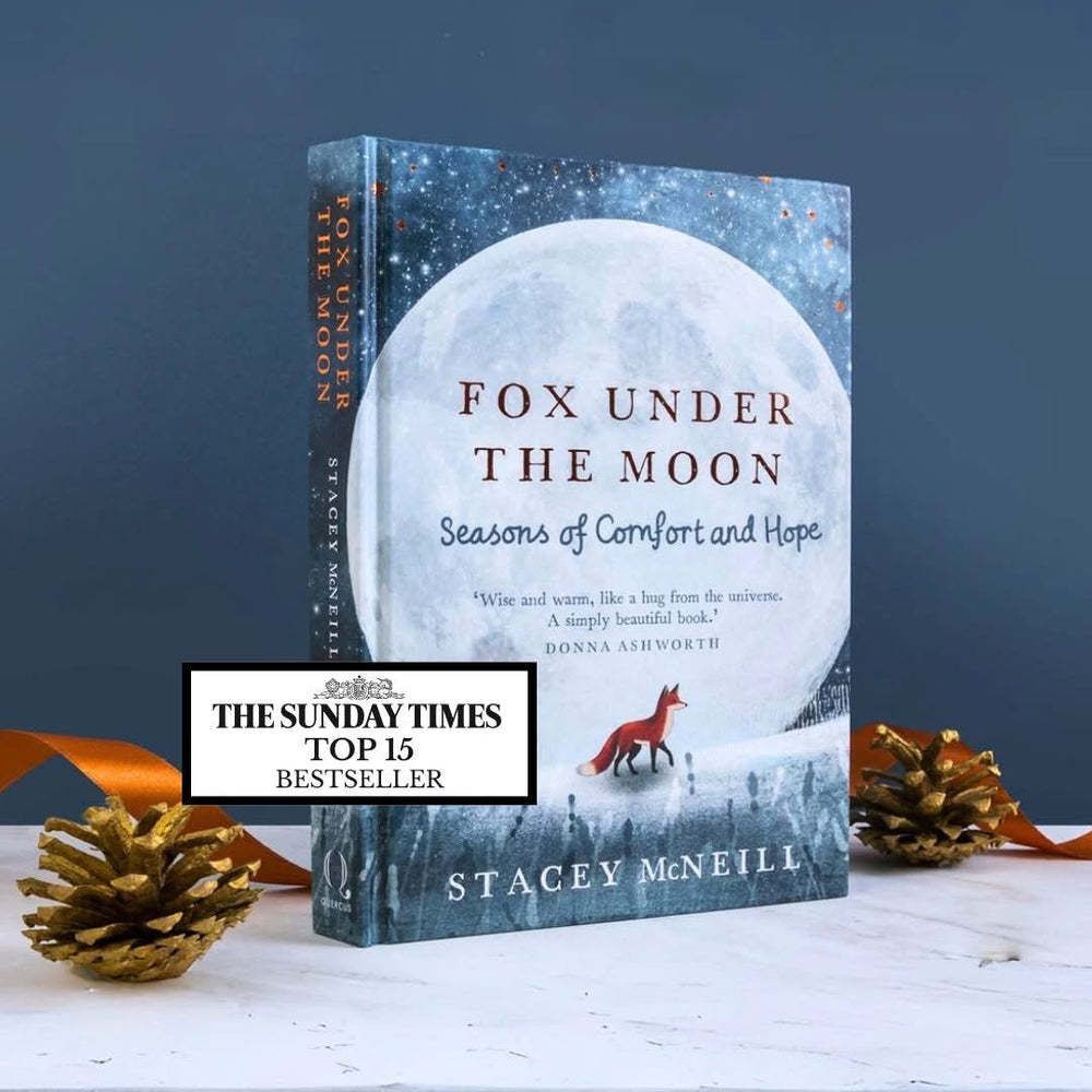 Books – Fox Under The Moon